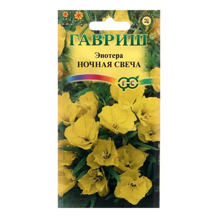 Семена цветов Энотера миссурийская 'Ночная свеча', 0,2 г