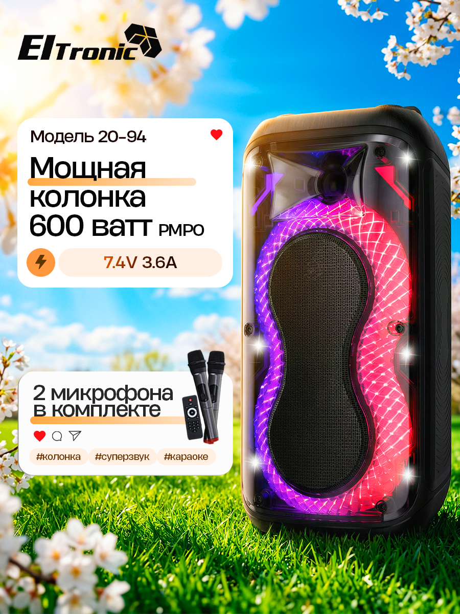 Колонка беспроводная Eltronic 20-94, 60 W, с TWS, FM, Bluetooth, 2 динамика