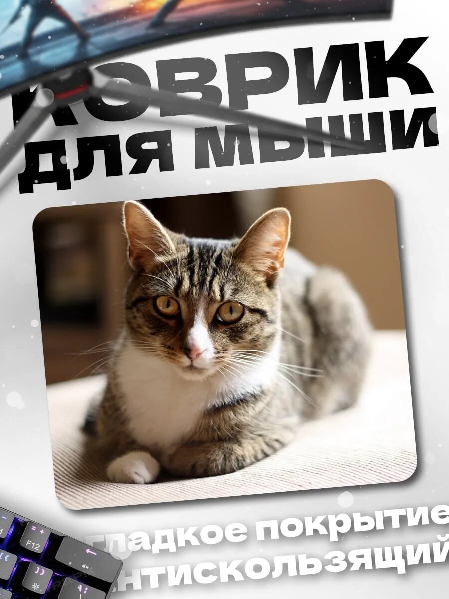 Коврик для мыши Полосатый кот лежит