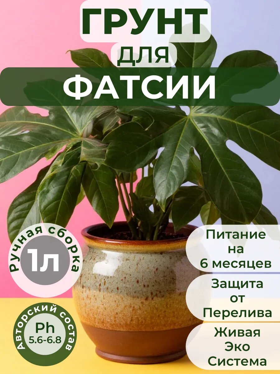 Готовый авторский грунт для Фатсии премиум 1литр