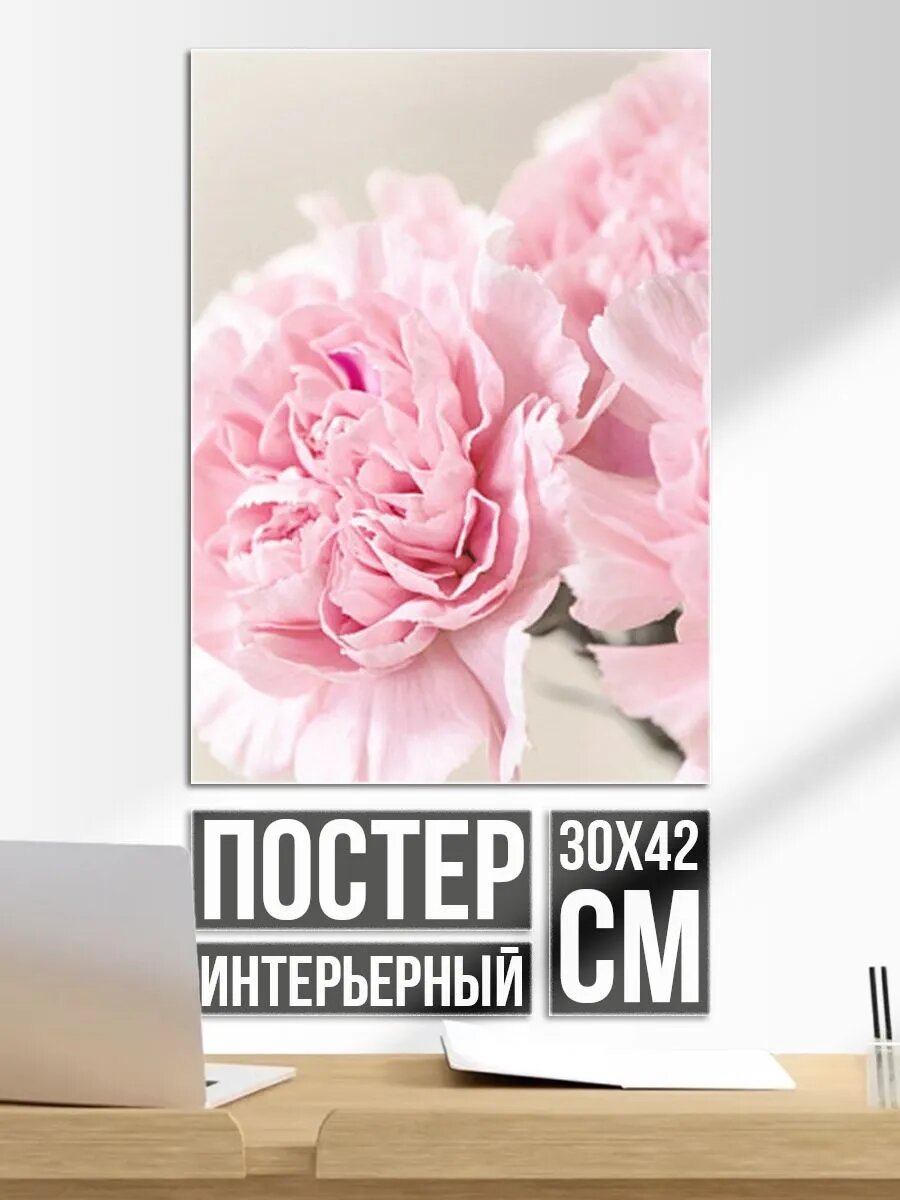 Постер на стену Розовый цветок 5