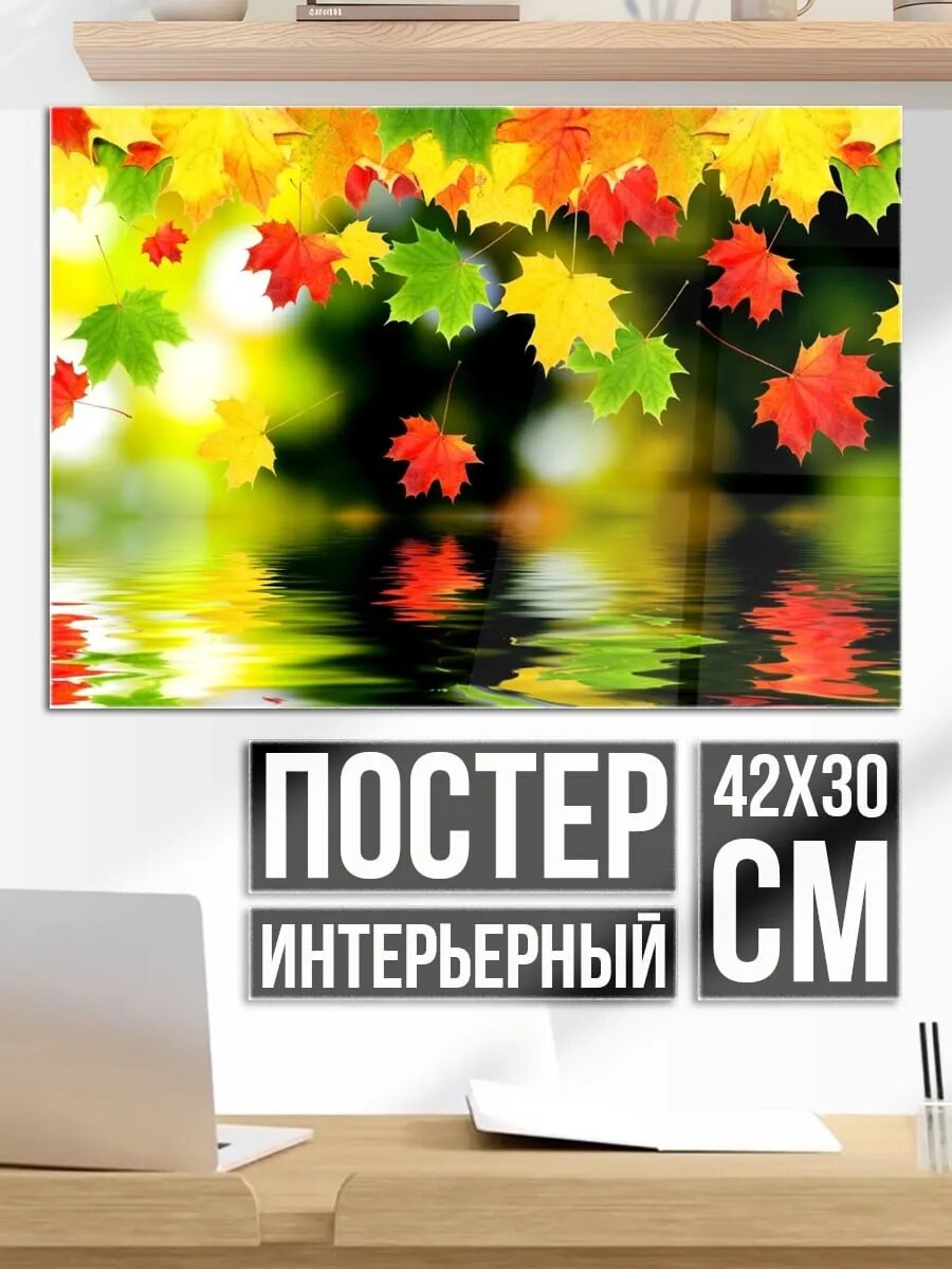 Плакат постер Осенние листья