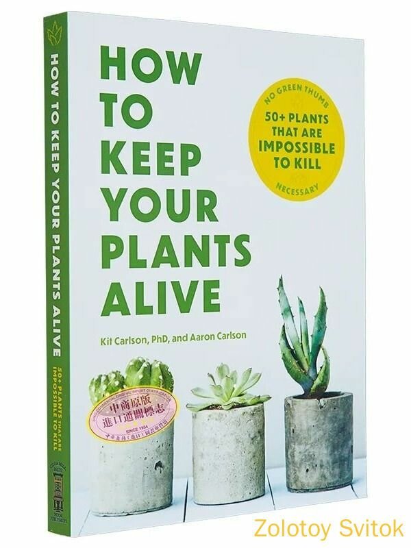 How to Keep Your Plants Alive: 50 Plants That Are Impossible to Kill