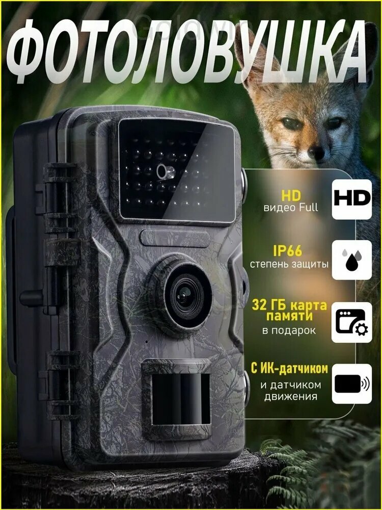 Фотоловушка