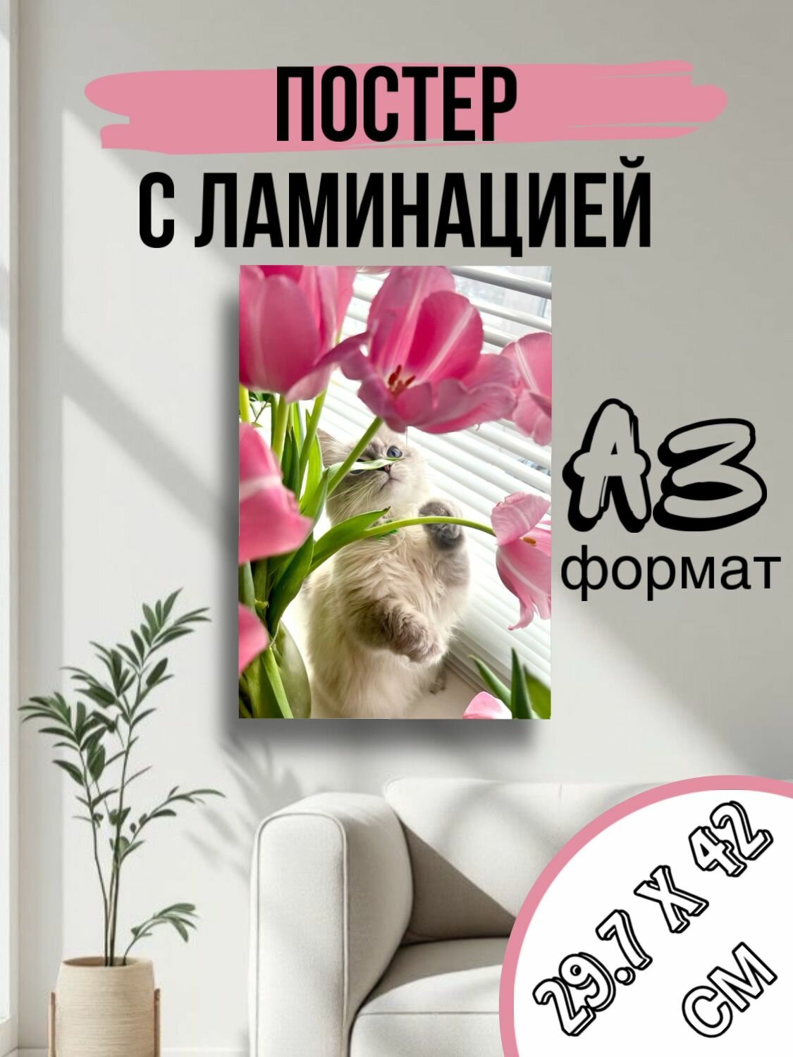 Постер