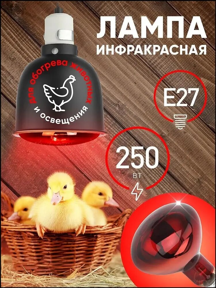 Лампочка икзк 220-250 R127 Е27 ЭРА / Инфракрасная лампа для курятника, для обогрева, для растений, для птиц, для животных, для цыплят, 250 Вт