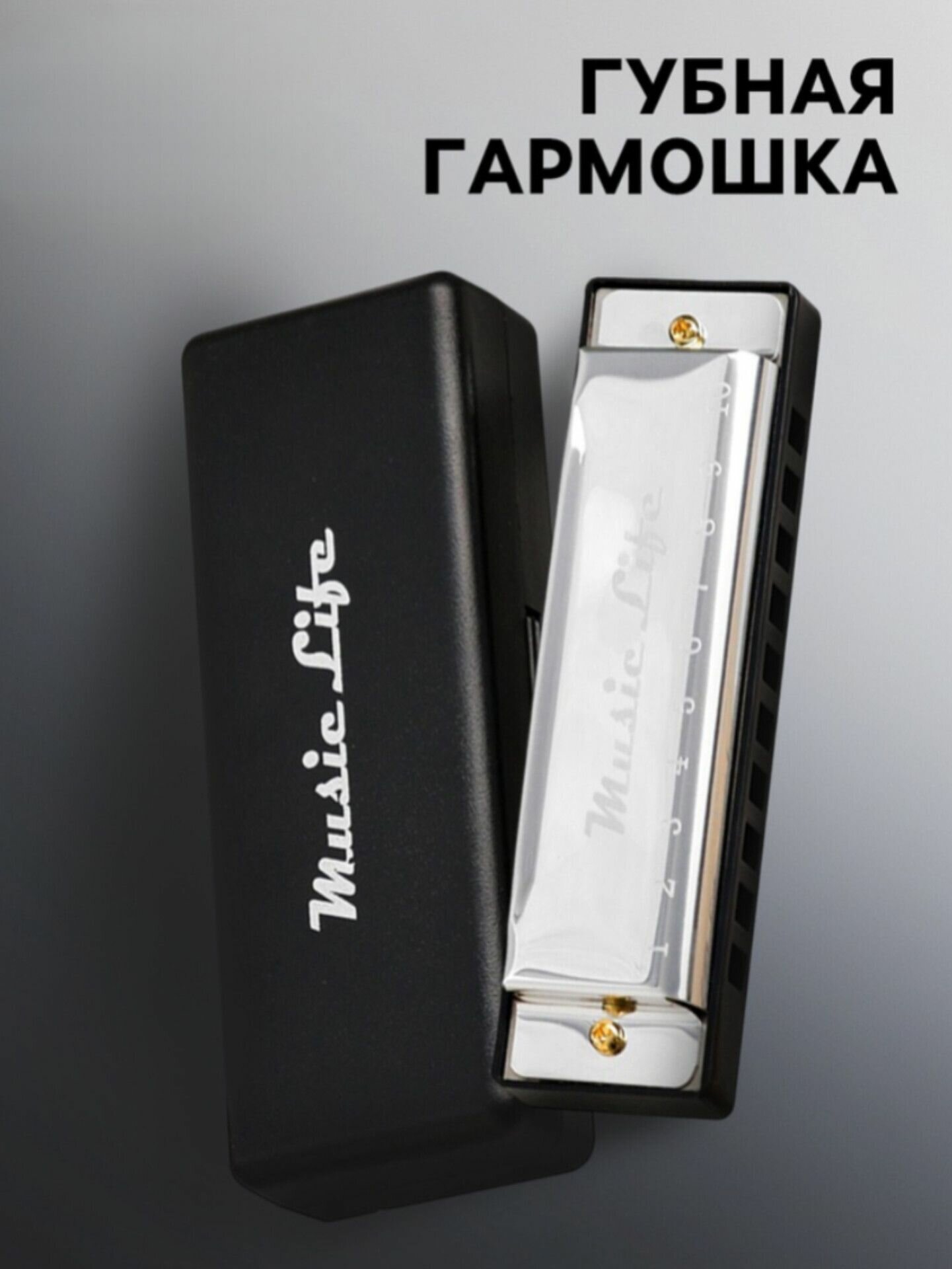 Губная гармошка, диатоническая, C-major, с футляром, серебристая