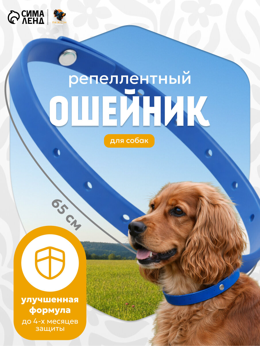 Биоошейник от паразитов "Пижон Premium" для собак, синий, 65 см