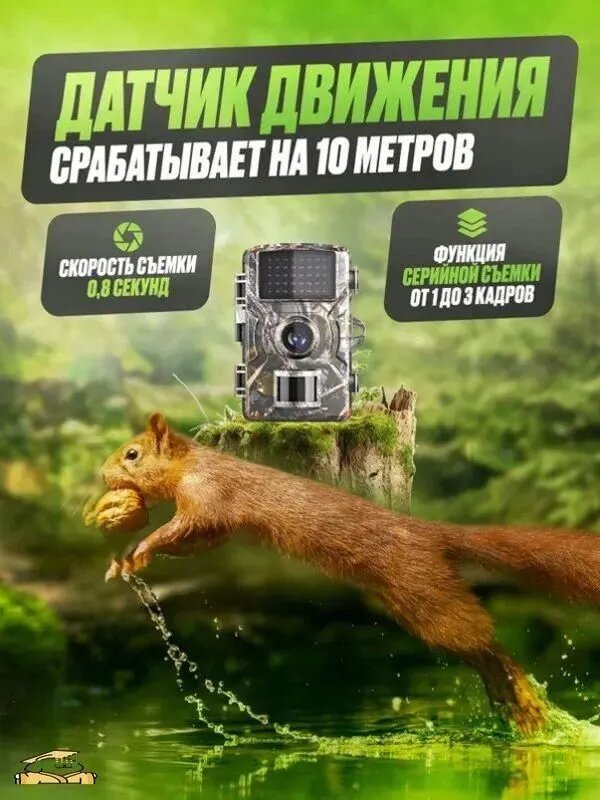 Фотоловушка Wild Hunt DL001 Full HD 1920x1080 с ночной съемкой и защитой IP66 — фото 1