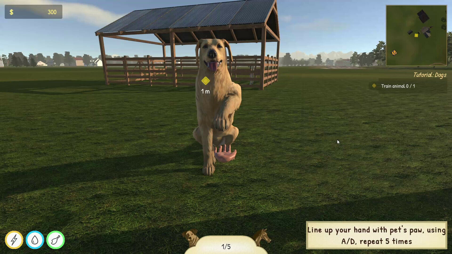 Animal Trainer Simulator, Все страны — фото 1