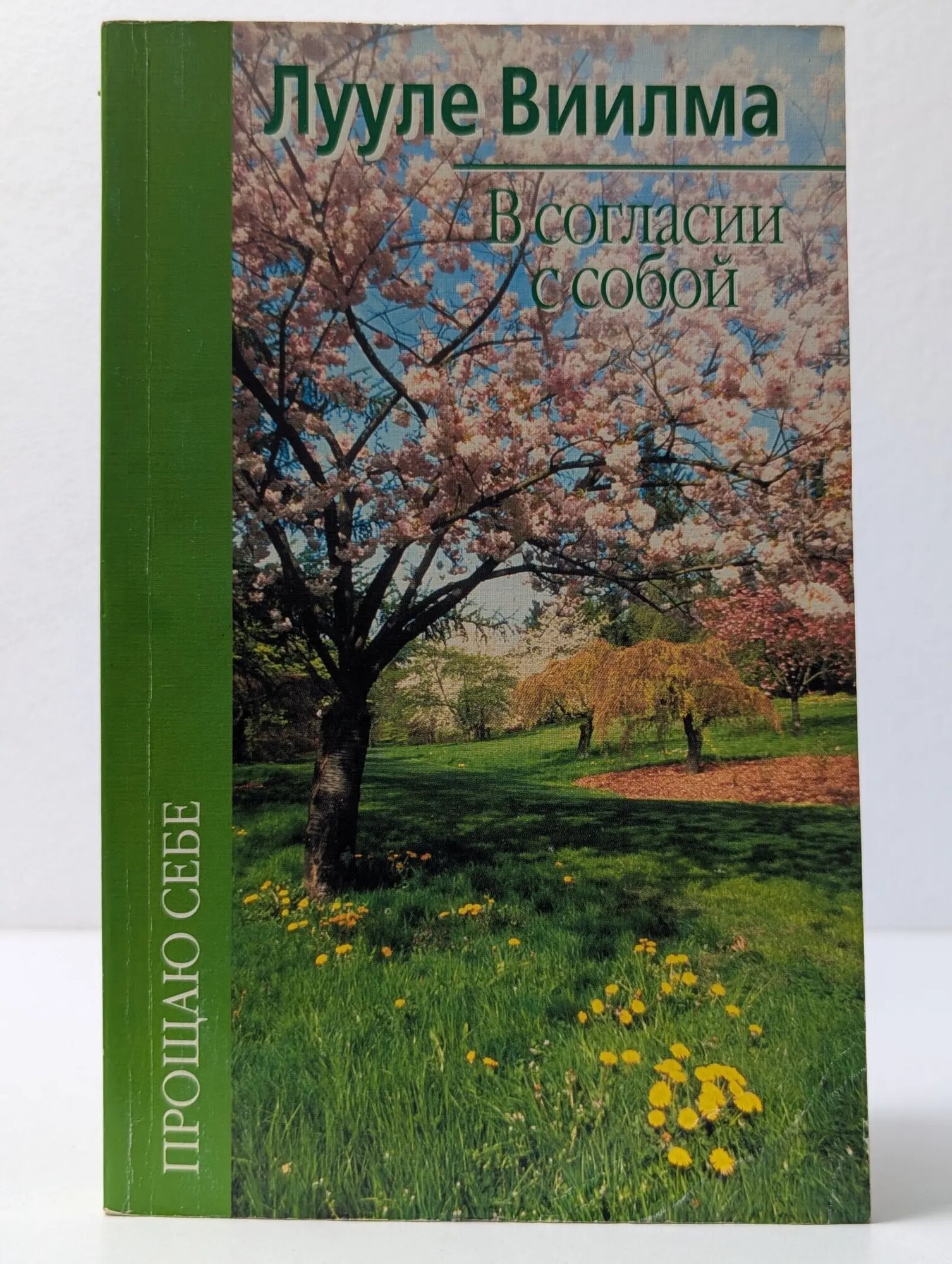Прощаю себе. В согласии с собой Виилма Лууле 2003