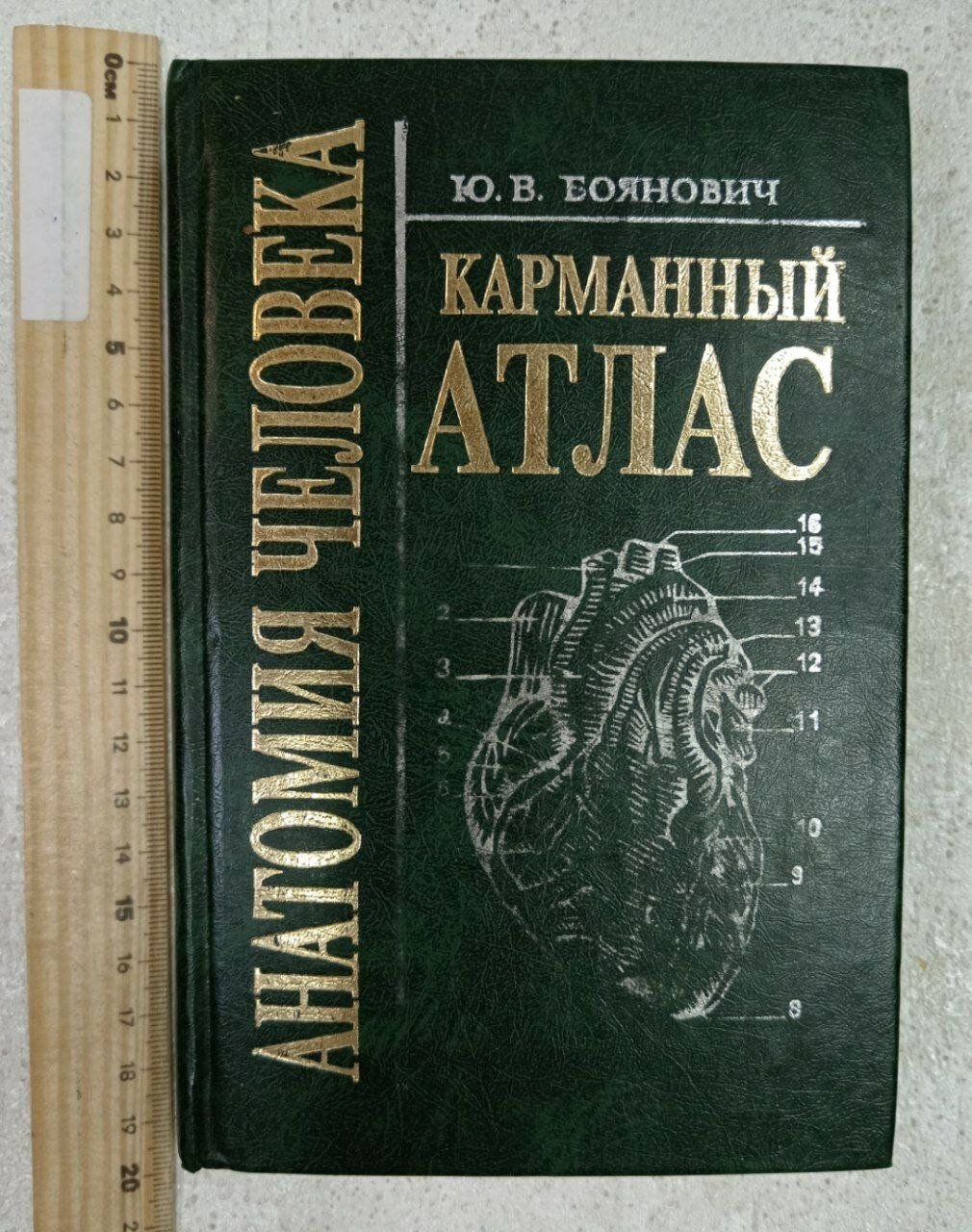 Анатомия человека. Карманный атлас Боянович Юрий Владимирович