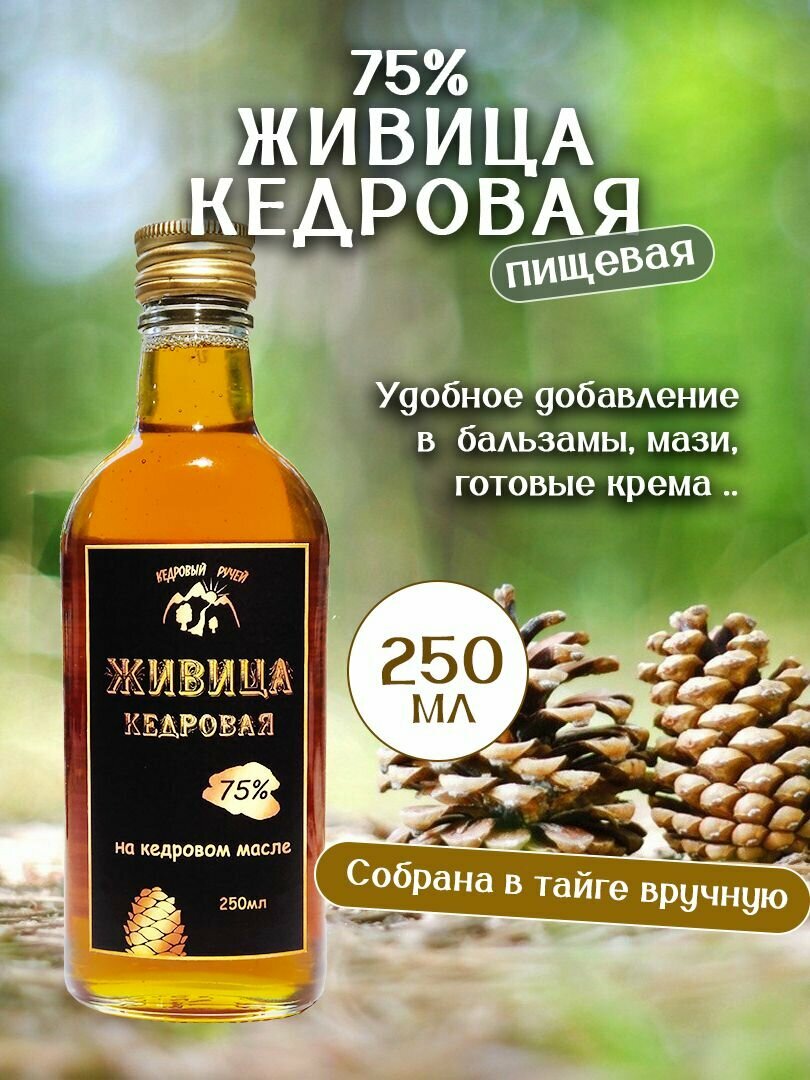 Живица кедровая 75% на кедровом масле, 250 мл