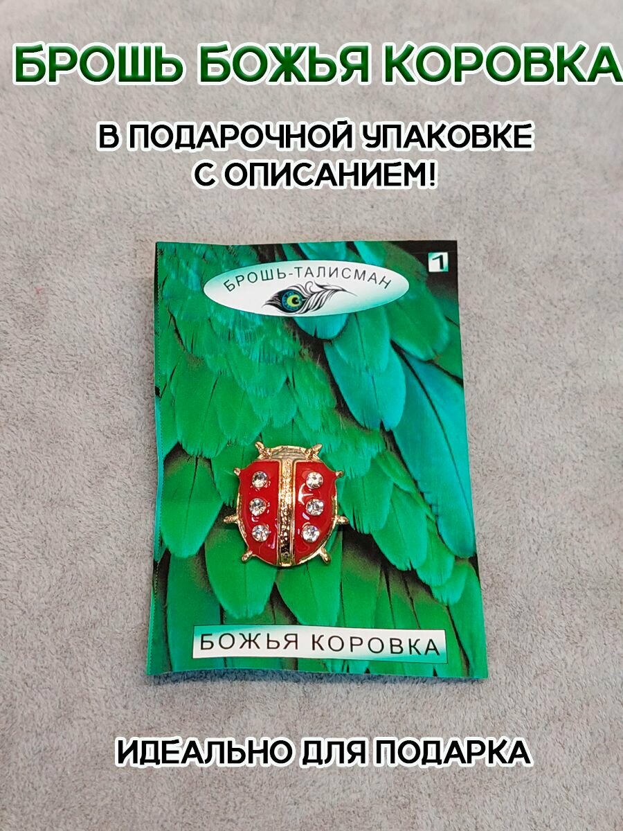 Брошь, стразы