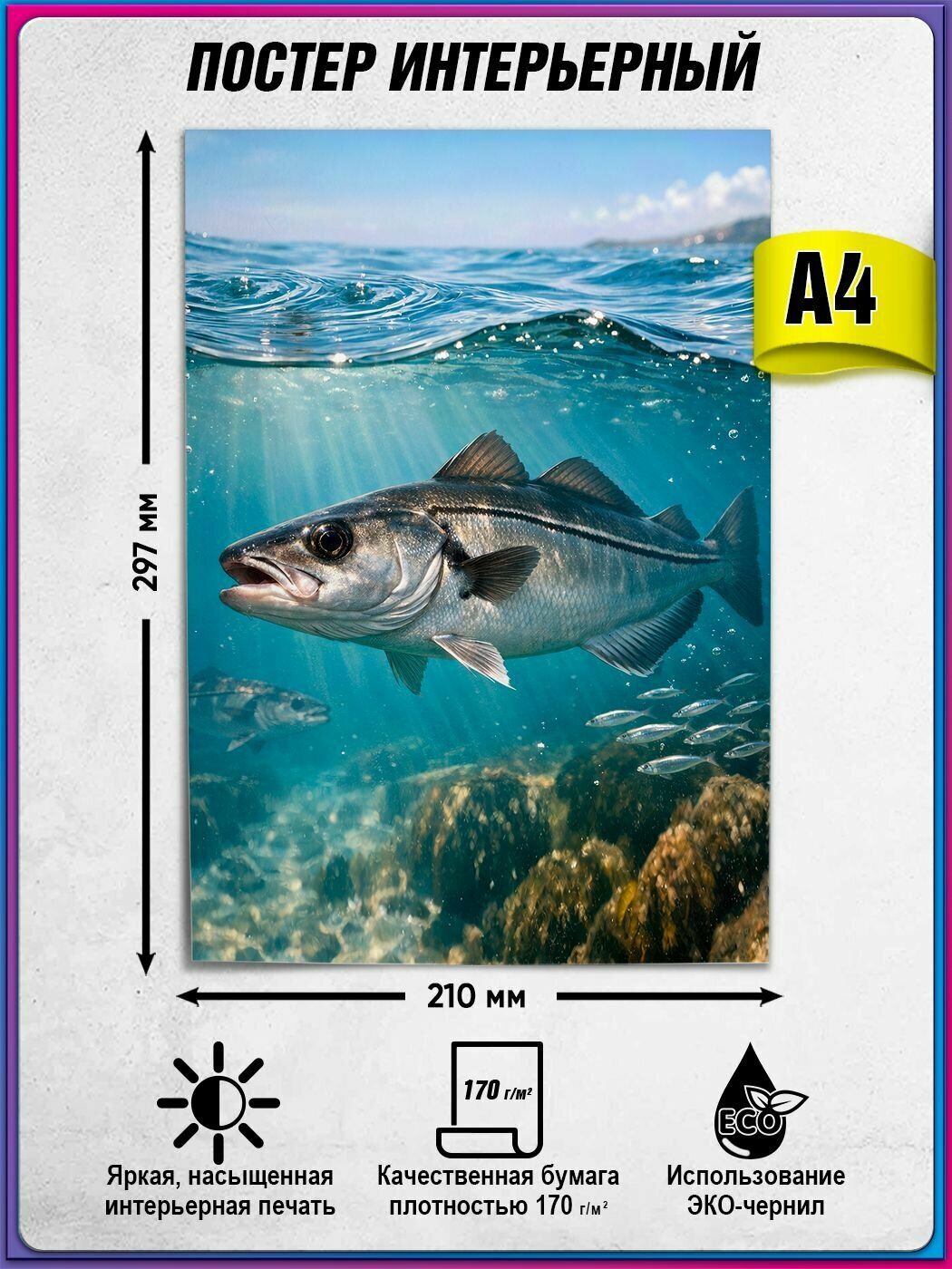 Постер интерьерный "Пикша", плакат, подарок на День рыбака / А-4 (21x30 см.)