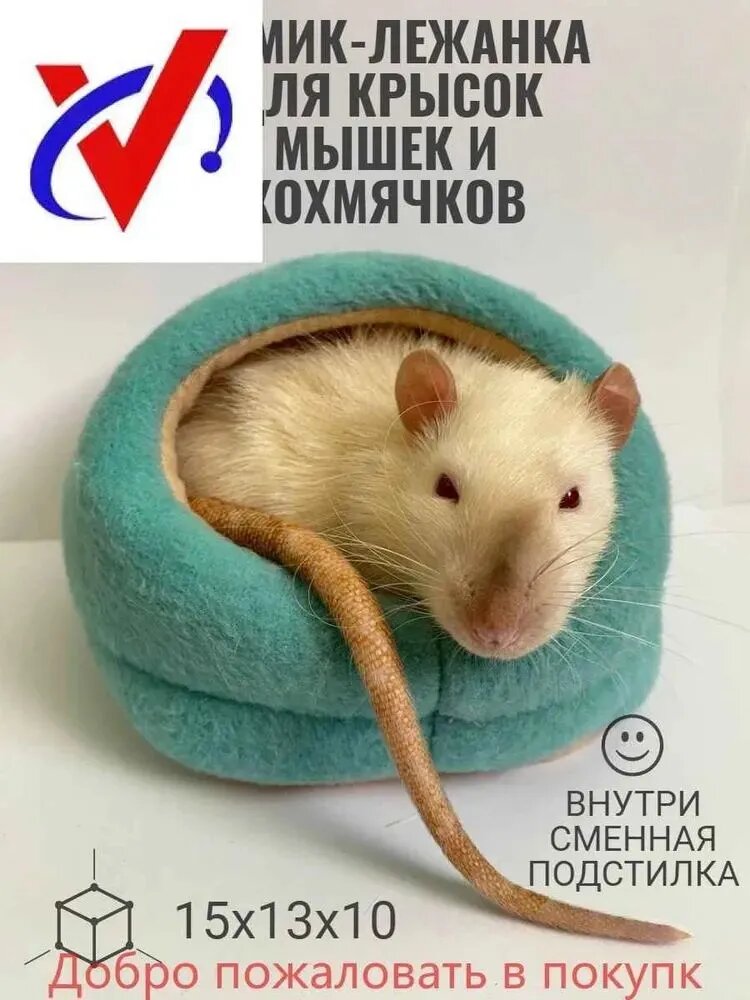 Домик для животных
