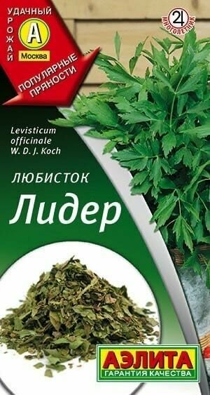 Любисток лидер. Семена. Вес 0,3 гр. Популярный многолетник. многолетняя трава для посадки