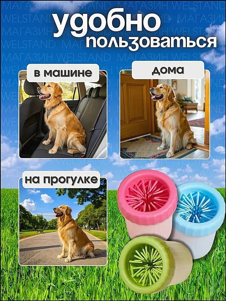 Лапомойка — фото 1