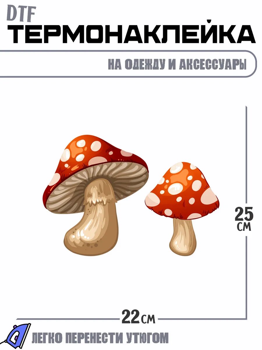 Термонаклейка Грибы
