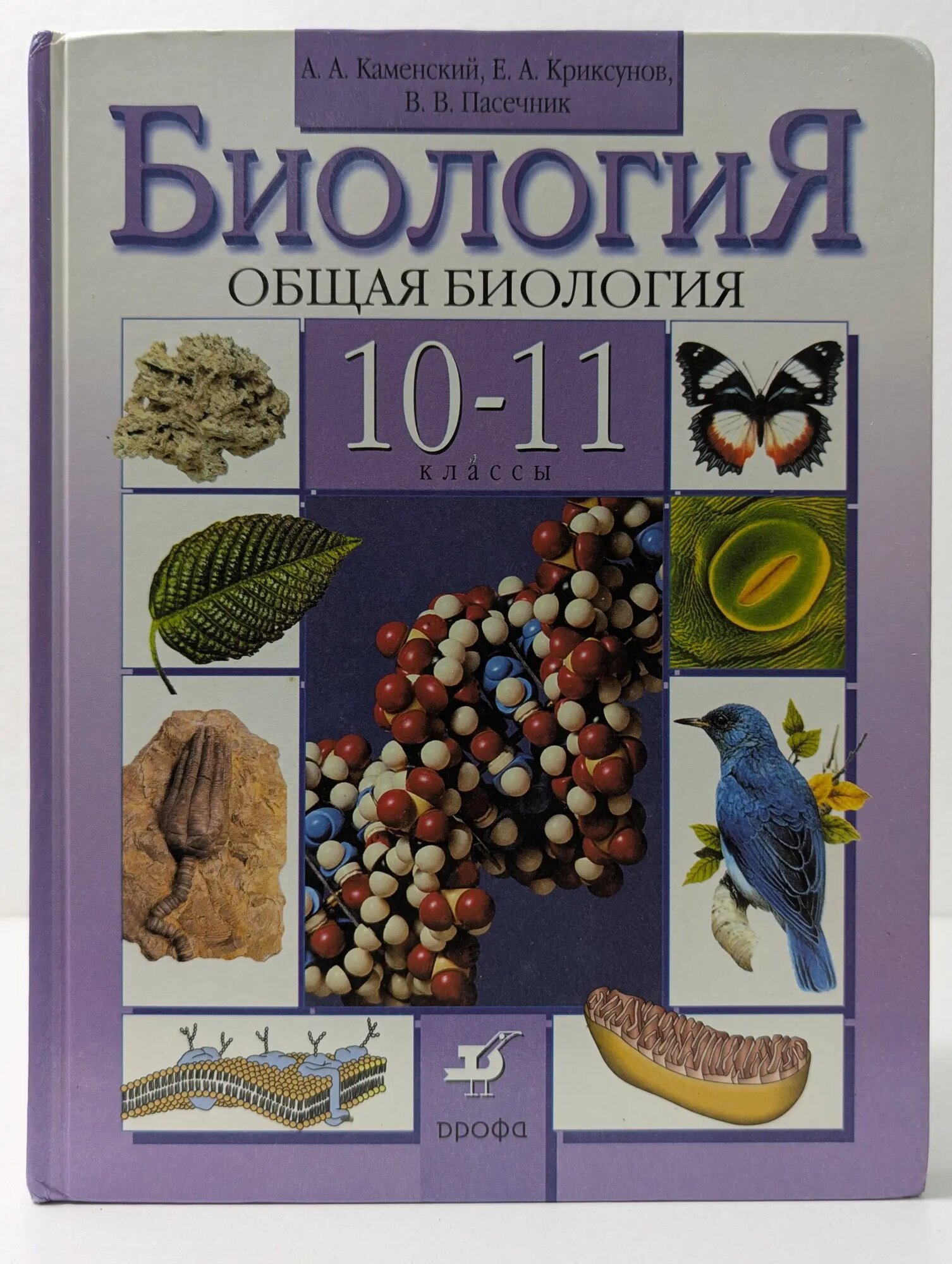 Биология. Общая биология. 10-11 классы Каменский Андрей Александрович, Криксунов Евгений Аркадьевич 2008