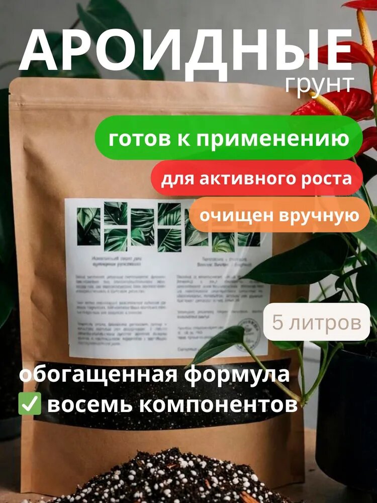 Грунт для ароидных растений: замиокулькаса, монстеры, антуриума и аглаонемы