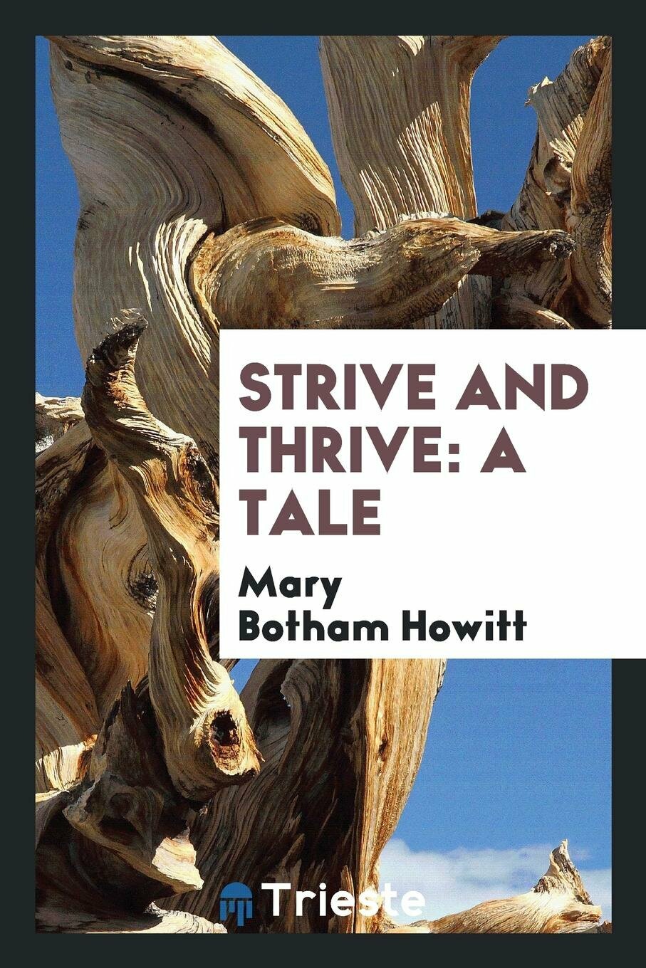 Strive and Thrive. A Tale — фото 1