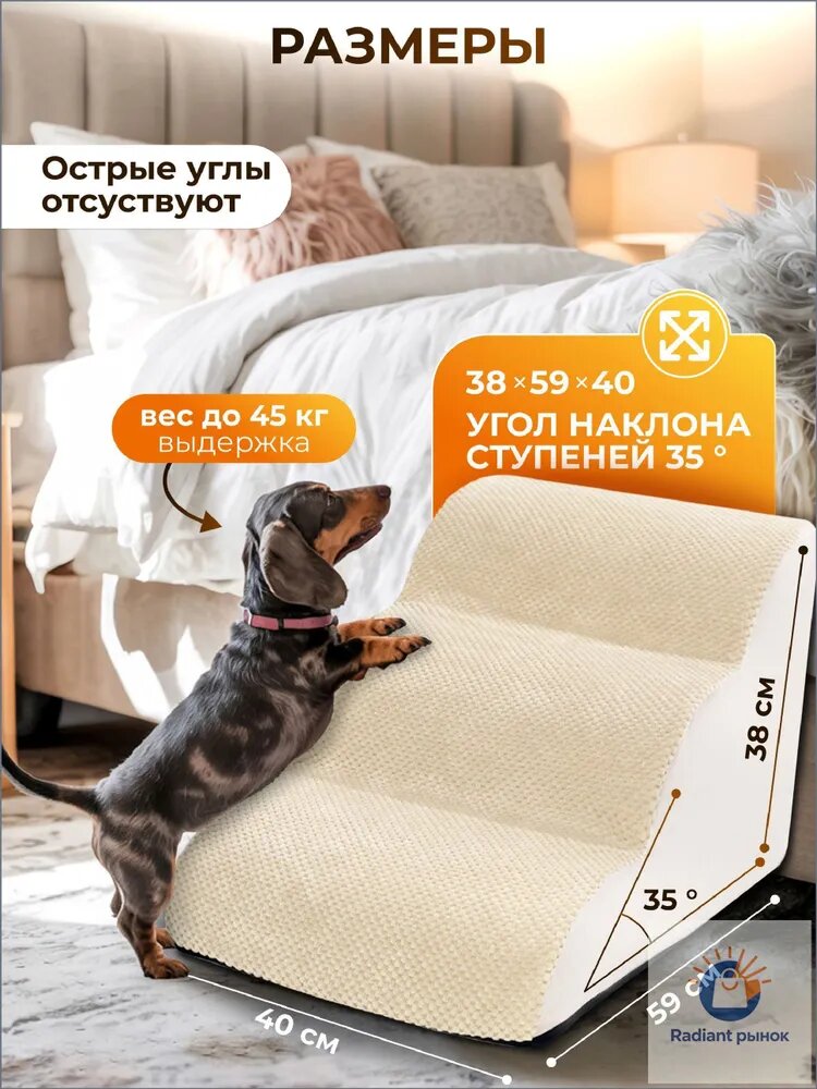 Лестница для собак — фото 1