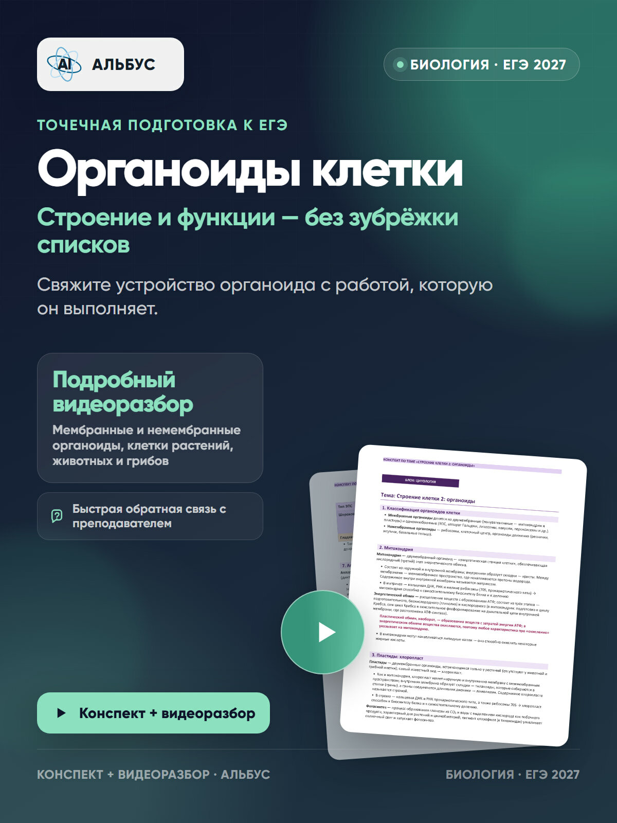 ЕГЭ-2027 по биологии: органоиды клетки и их функции — конспект и видео Альбус