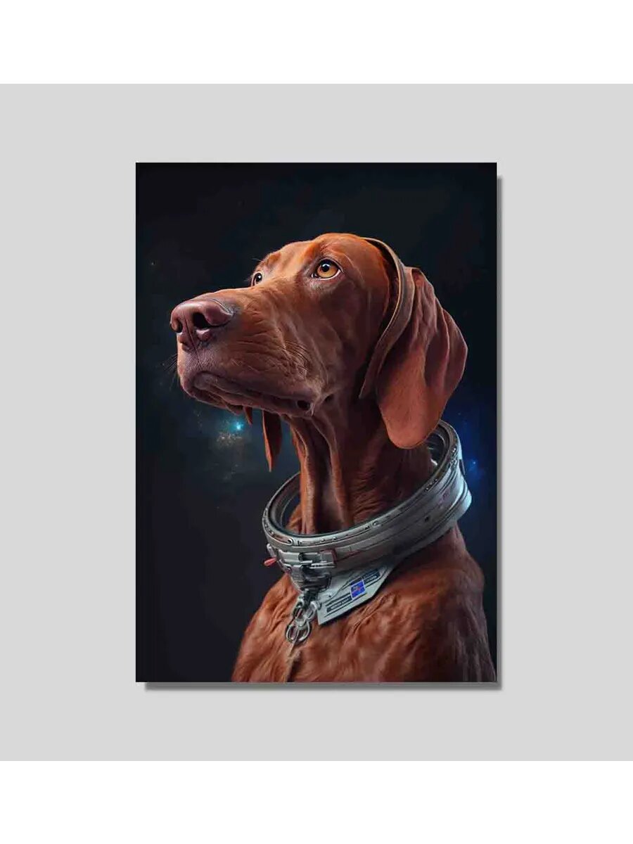 Космонавт Визсла дог 4, Плакат 30x42см