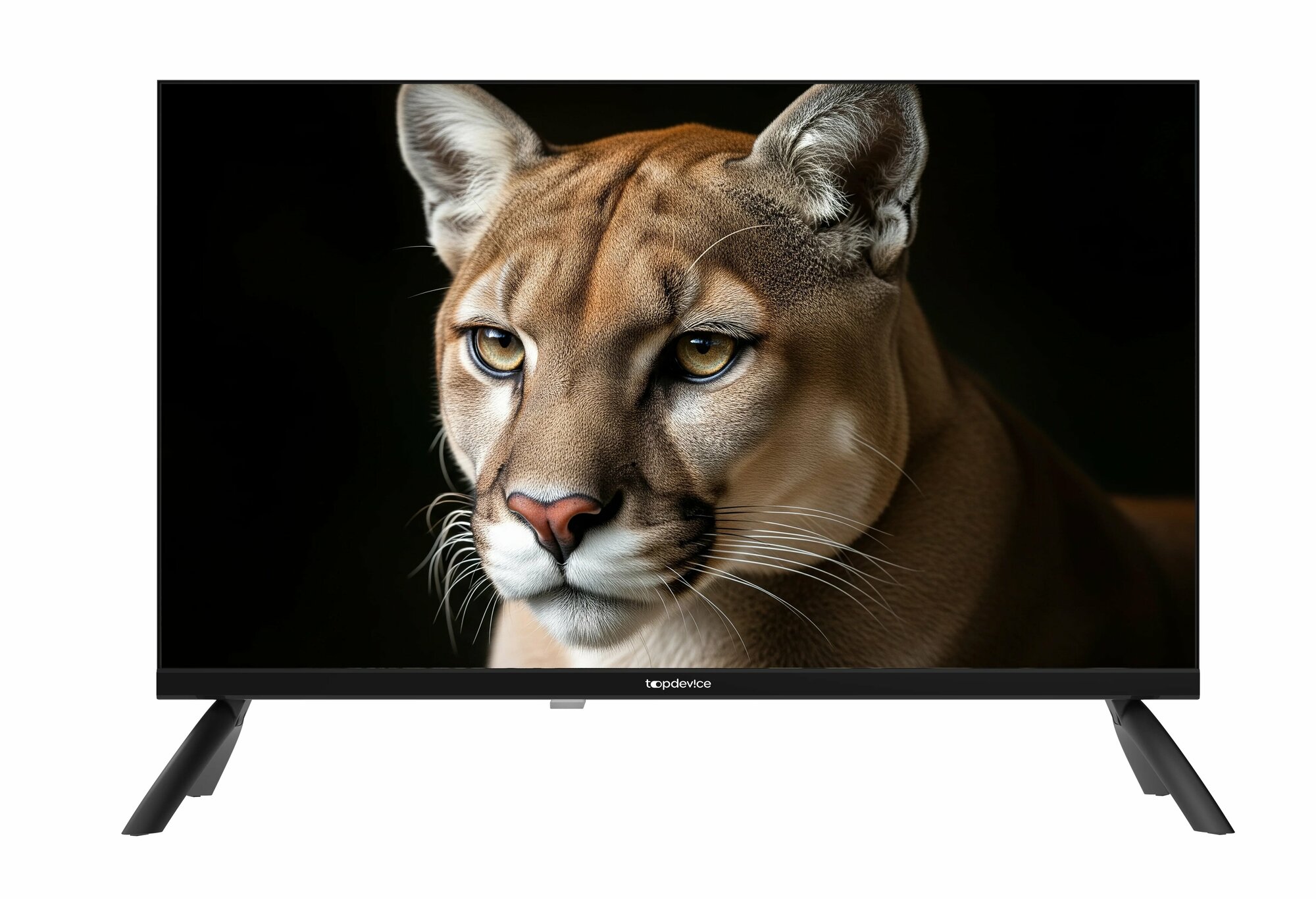 Телевизор TopDevice TDWC24BH1000I, LED, 24", IPS, USB, HDMI, 36 Вт