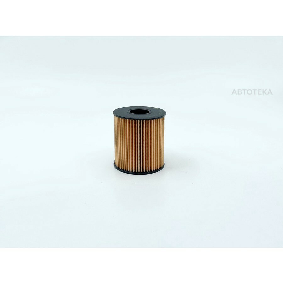 Фильтр масляный FORD FOCUS 2/MONDEO 4/KUGA 04- 2.0 DIESEL BIG FILTER GB1219