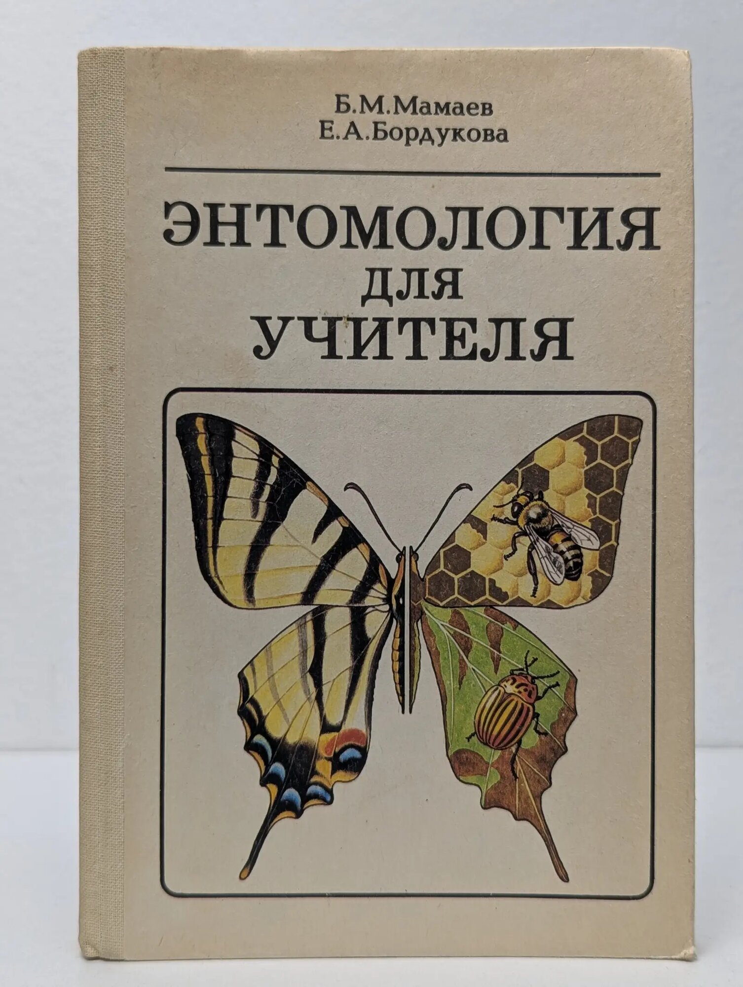 Энтомология для учителя Мамаев Борис Михайлович, Бордукова Евгения Алексеевна 1985