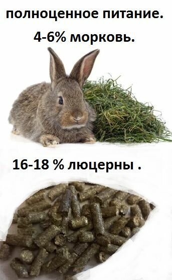 Сено луговое гранулированное с морковью 5%