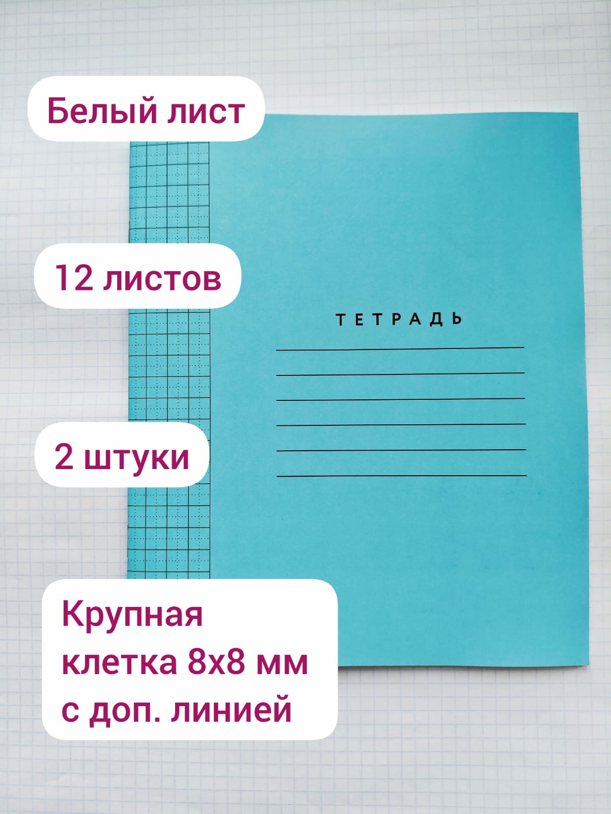 Тетрадь Мазиной пишу красиво в крупную клетку 8х8 мм с дополнительными линиями, набор 2 штуки