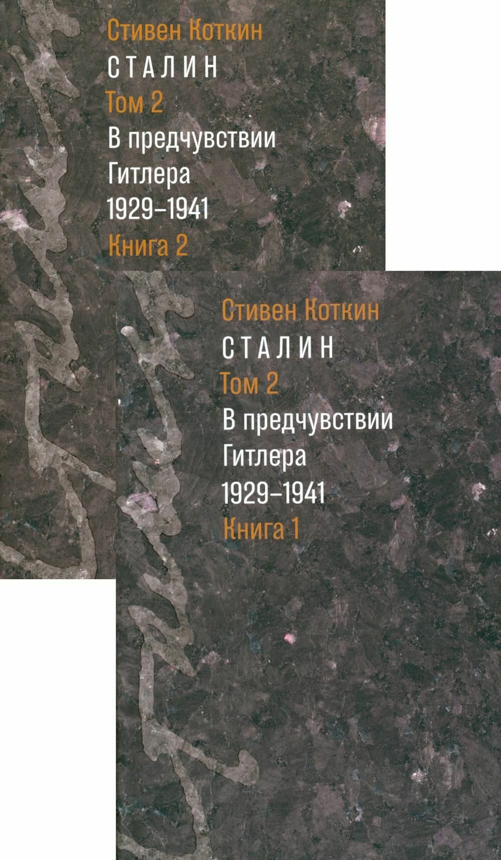 Сталин: в 3 т. Т. 2: В предчувствии Гитлера. 1929 1941: в 2 кн.