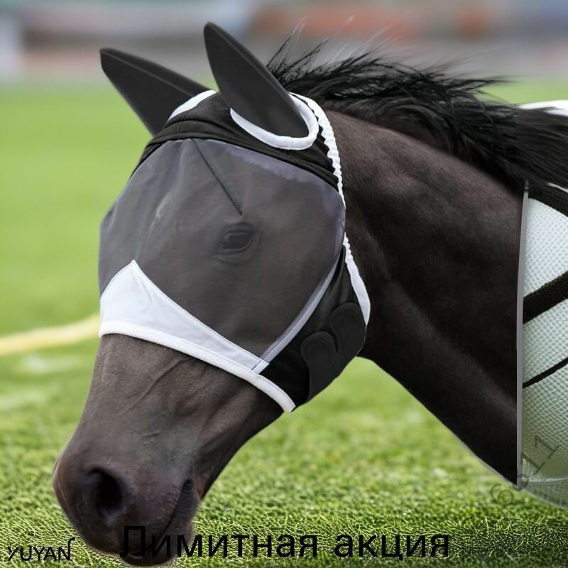Попона для лошади — фото 1