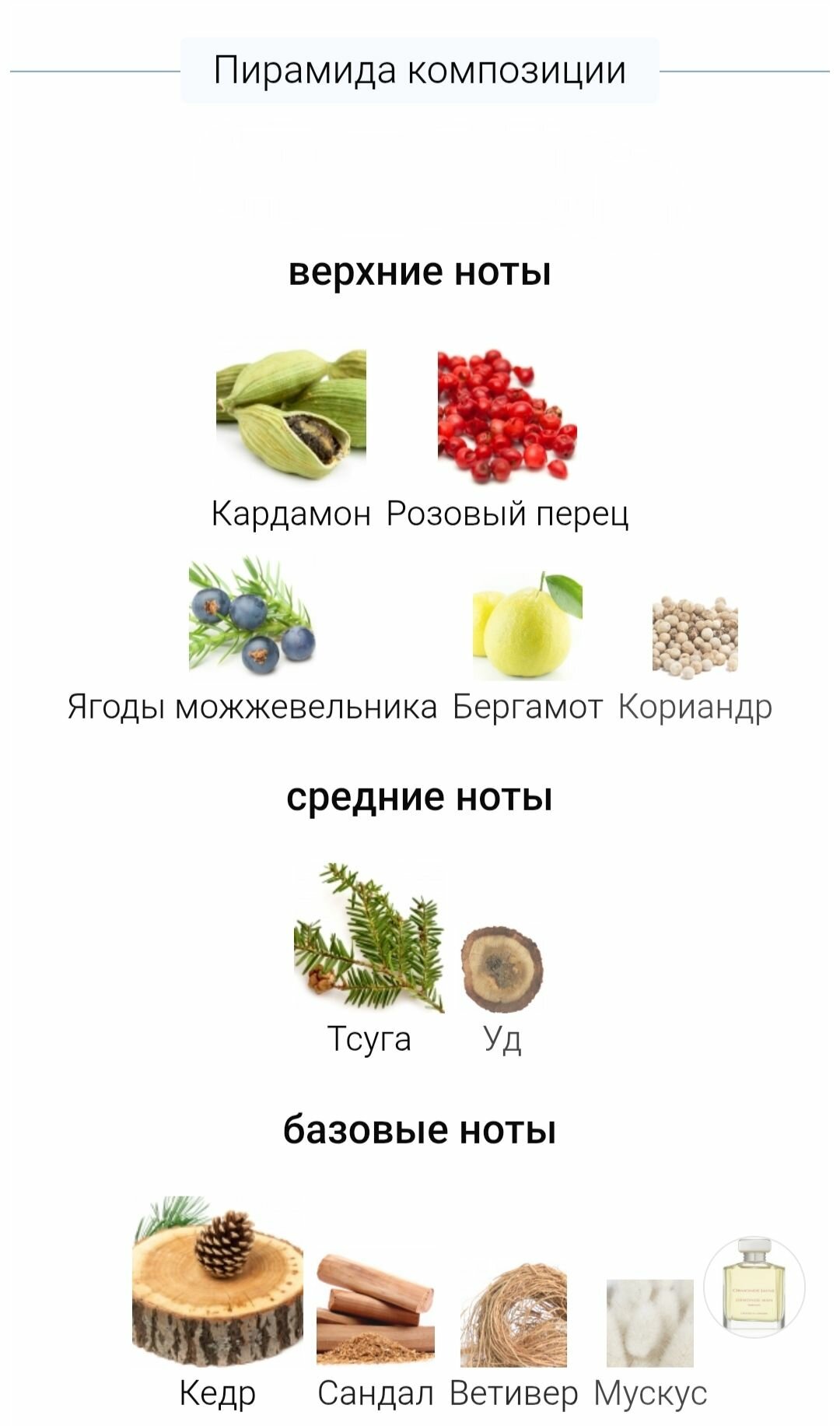 Духи ручной работы по мотивам 'Ormonde Men', для мужчин Lu Parfume — фото 1