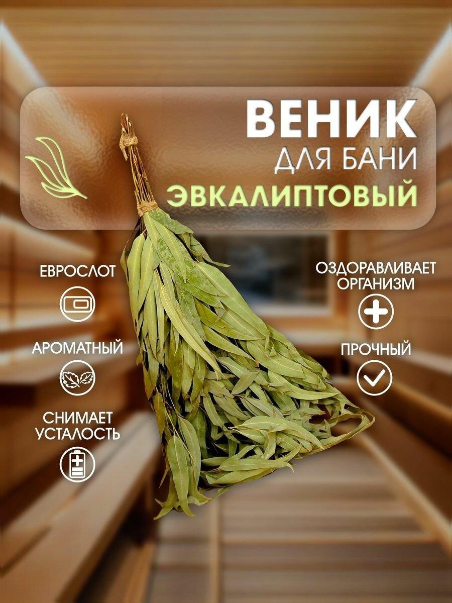 Веник для бани эвкалиптовый 53 см, натуральный ароматический веник для сауны и парной, свежий эвкалипт