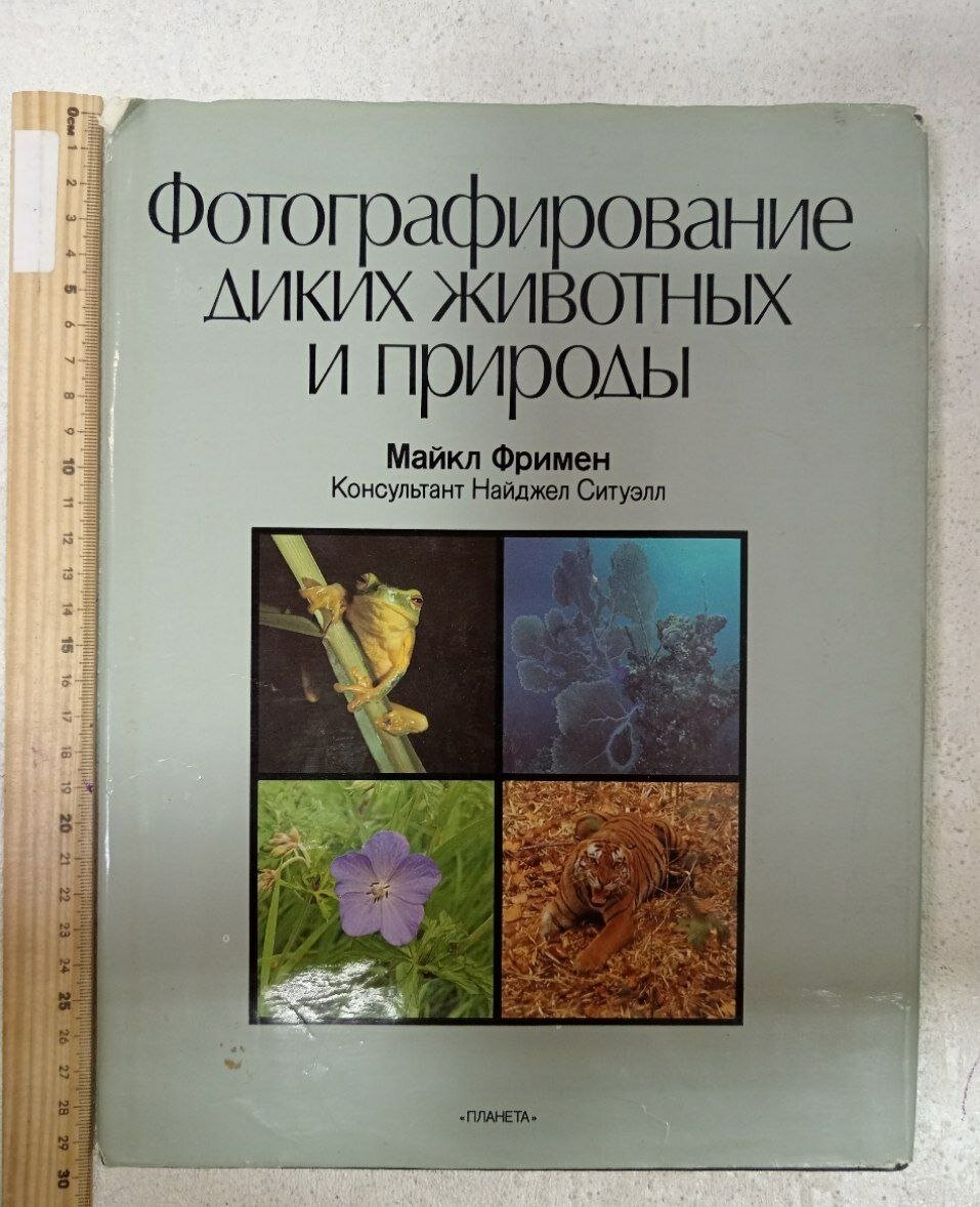 Фотографии диких животных и природы Фримен Майкл