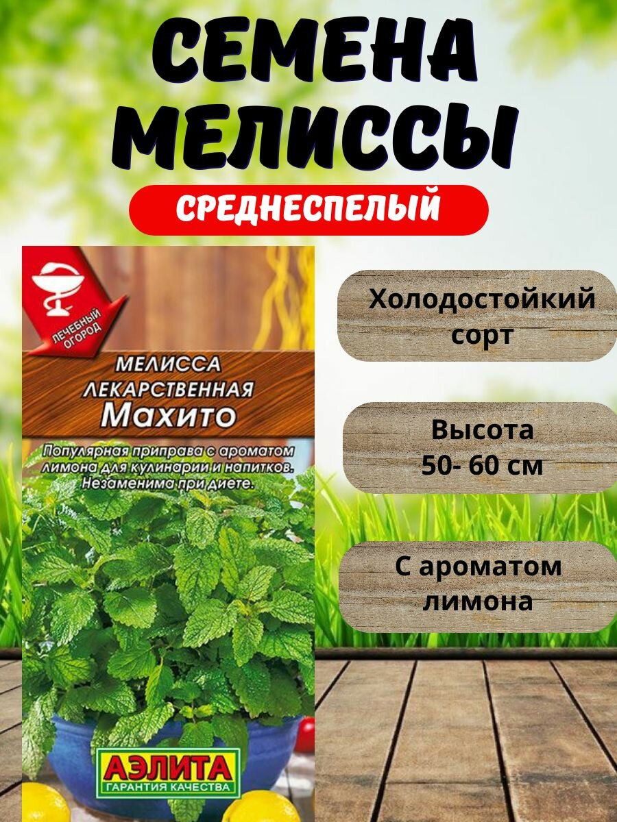 Семена мелисса Махито - Семена для балкона и огорода семена мелисса лимонная мята огородные семена