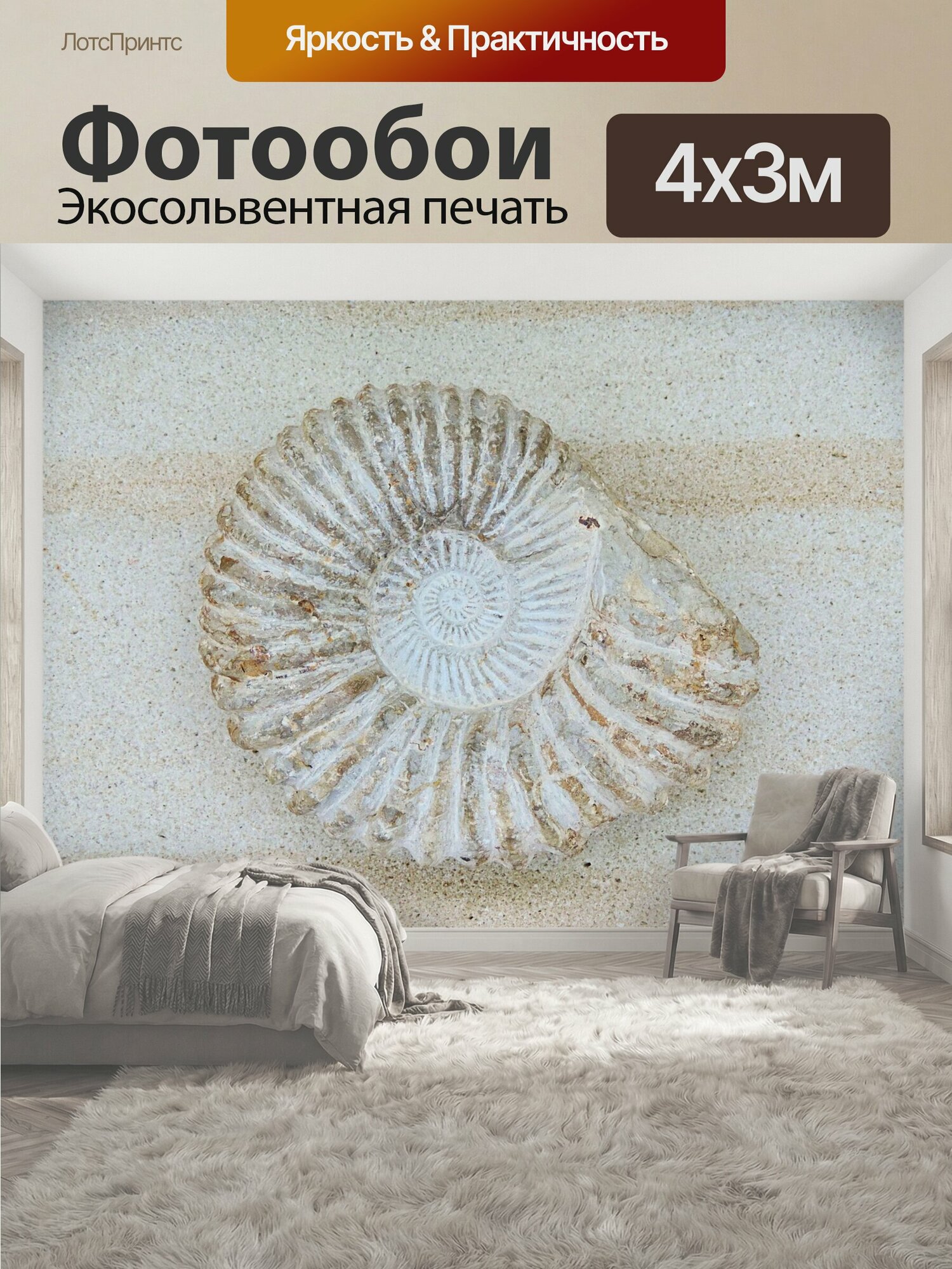 Фотообои "Аммонит, окаменение, первобытные времена" 400x300 см. экосольвентная печать