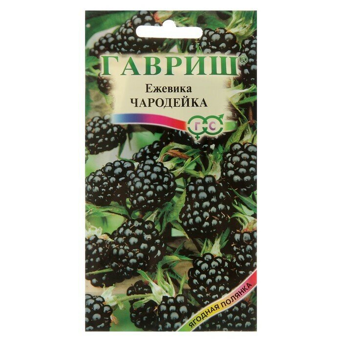 Семена Ежевика 'Чародейка', 10 шт