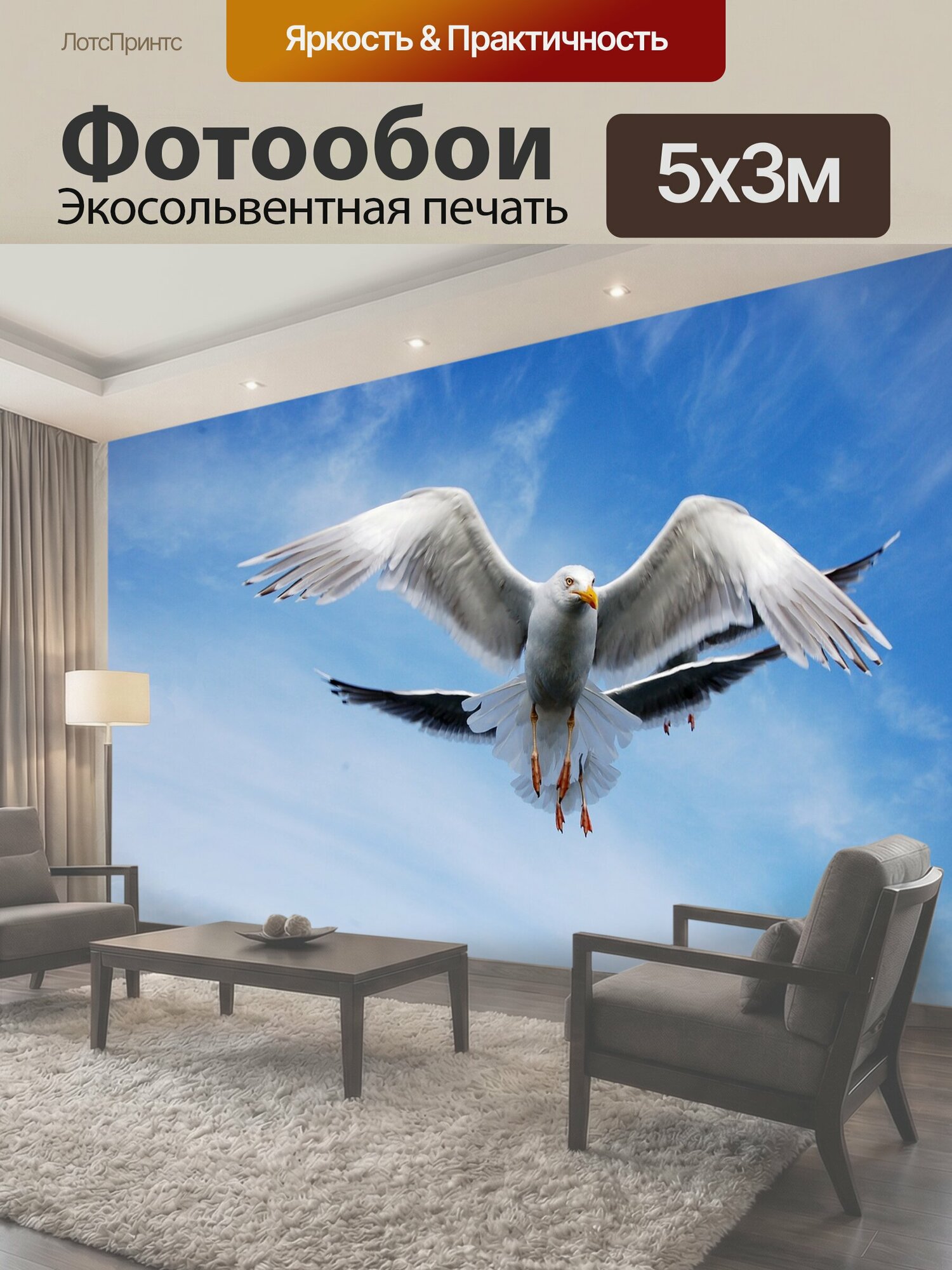 Фотообои "Птица, чайка, небо" 500x300 см. экосольвентная печать