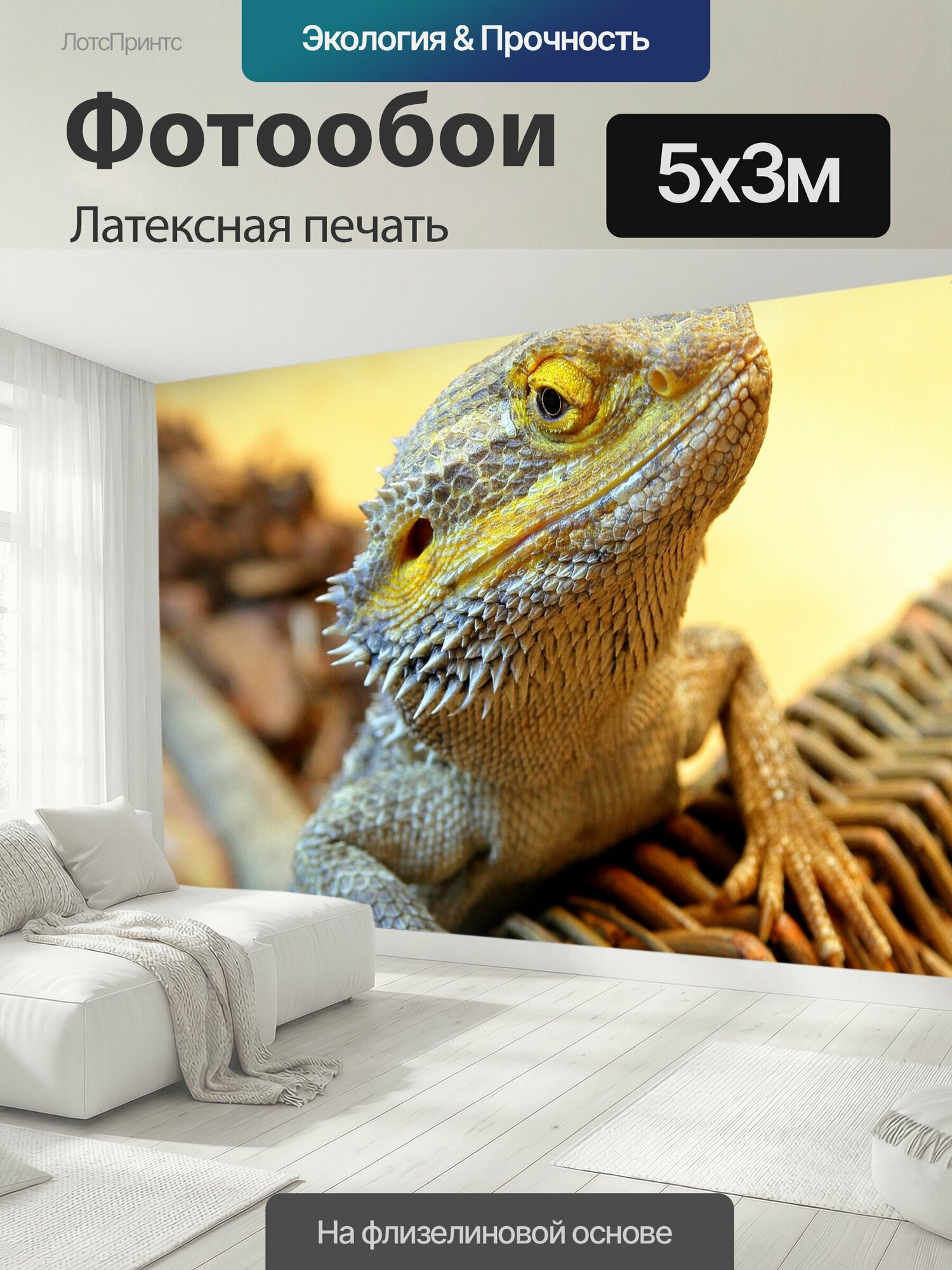 Фотообои моющиеся ударопрочные "Бородатая агама, дракон, рептилия" 500x300 см. латексная печать