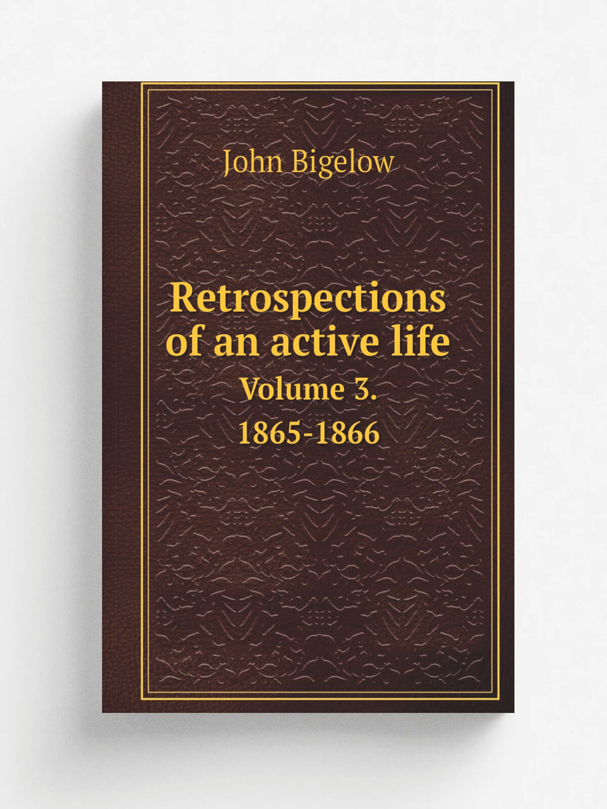 Retrospections of an active life. Volume 3. 1865-1866 | John Bigelow | 1909 | New York : Barker & Taylor Co. | Репринт