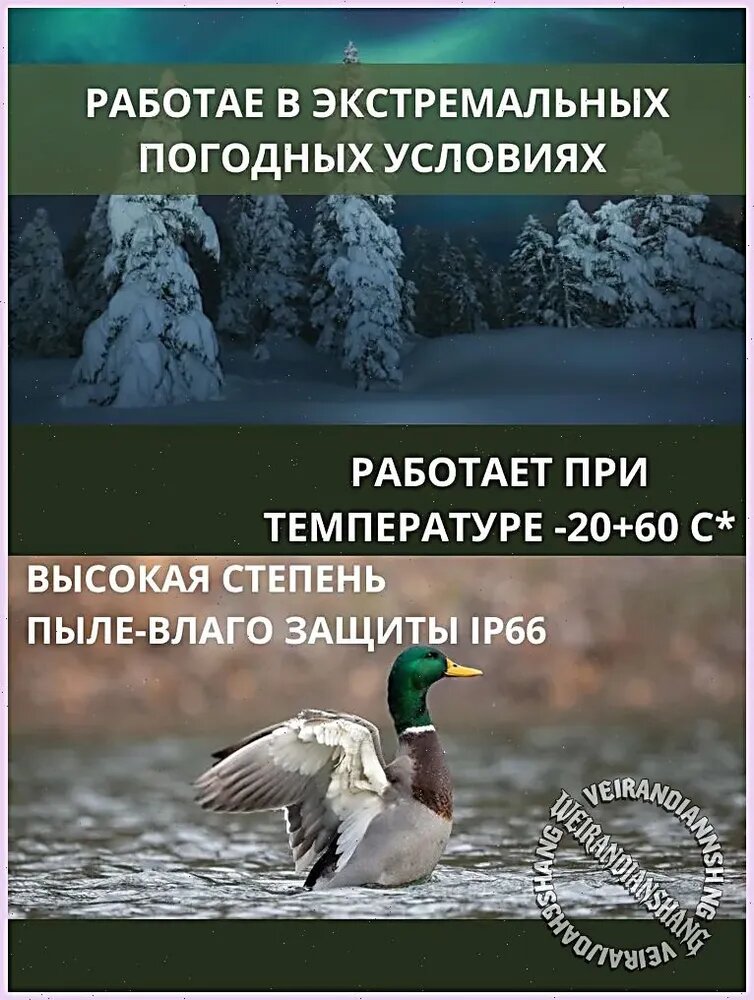 Фотоловушка — фото 1