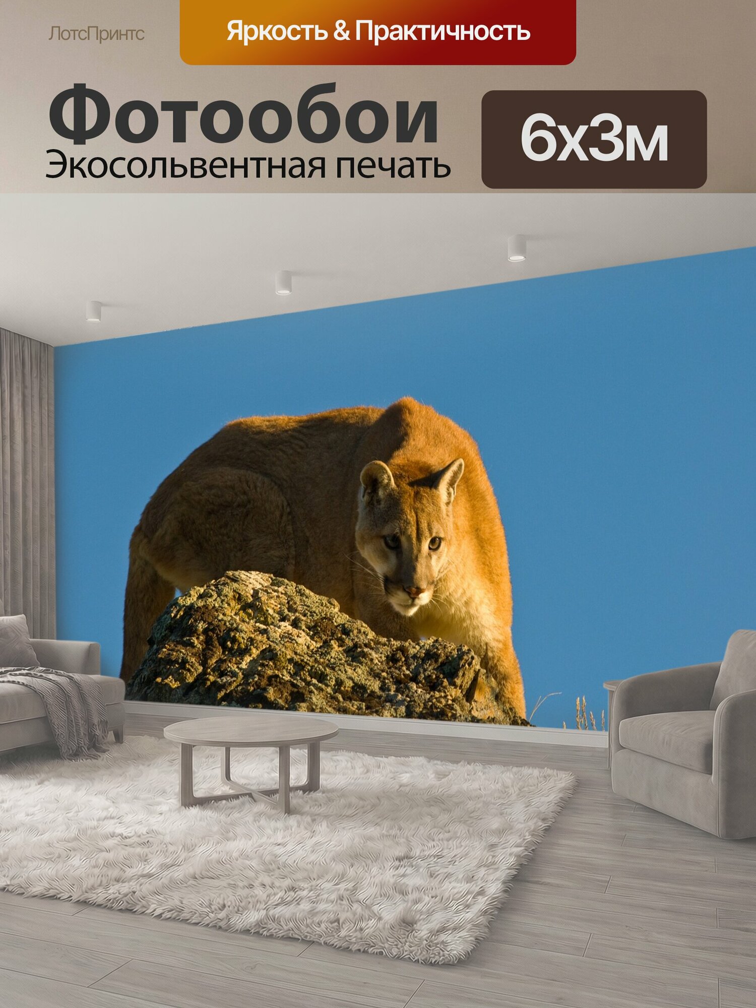 Фотообои "Пума, горный лев, приседать" 600x300 см. экосольвентная печать