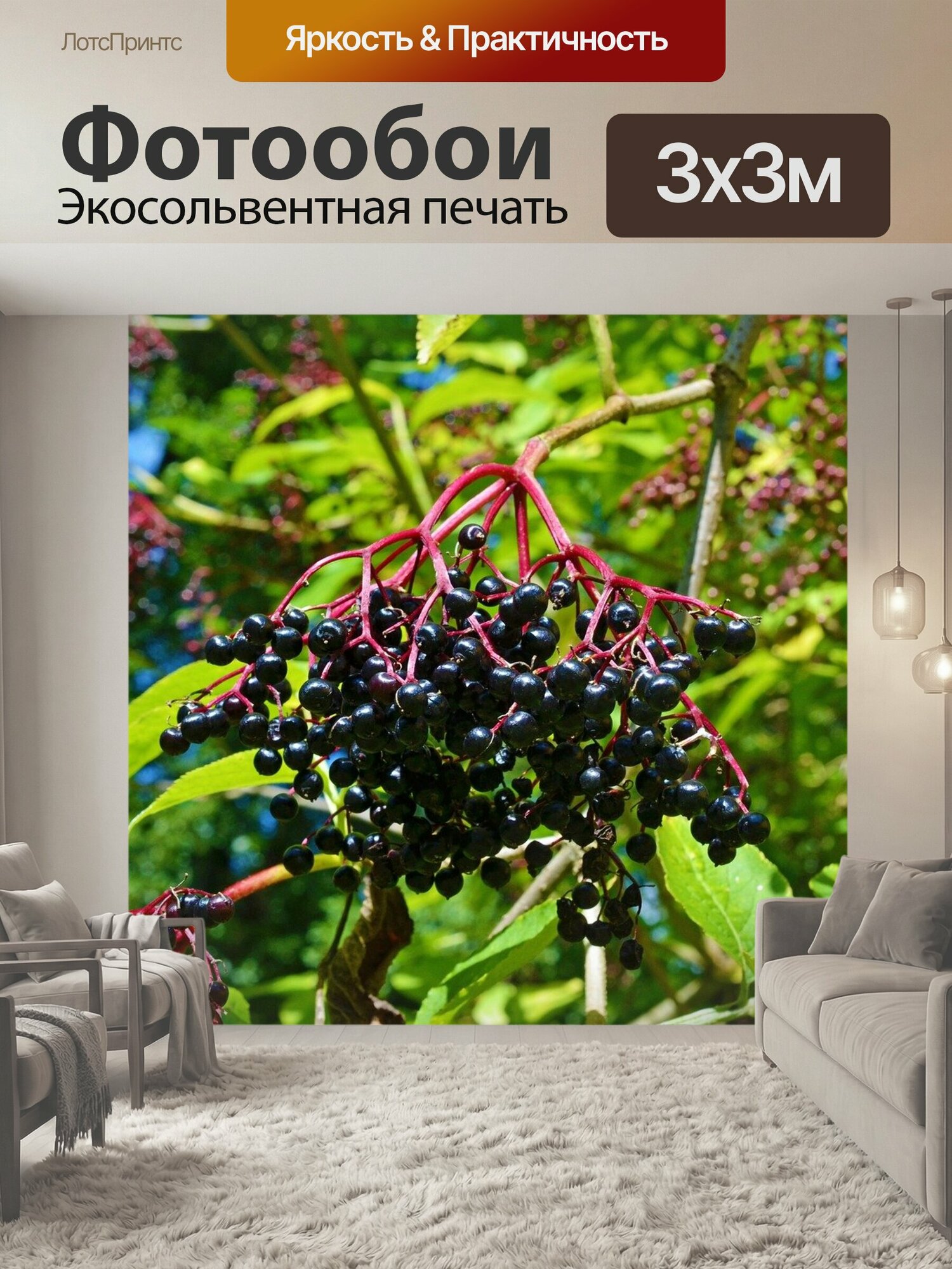 Фотообои "Старейшина, бузина, самбук черный" 300x300 см. экосольвентная печать