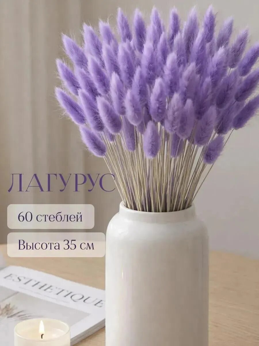 Лагурус сухоцвет сиреневый 60 штук, натуральные сухоцветы для декора Elka.bio до 35 см