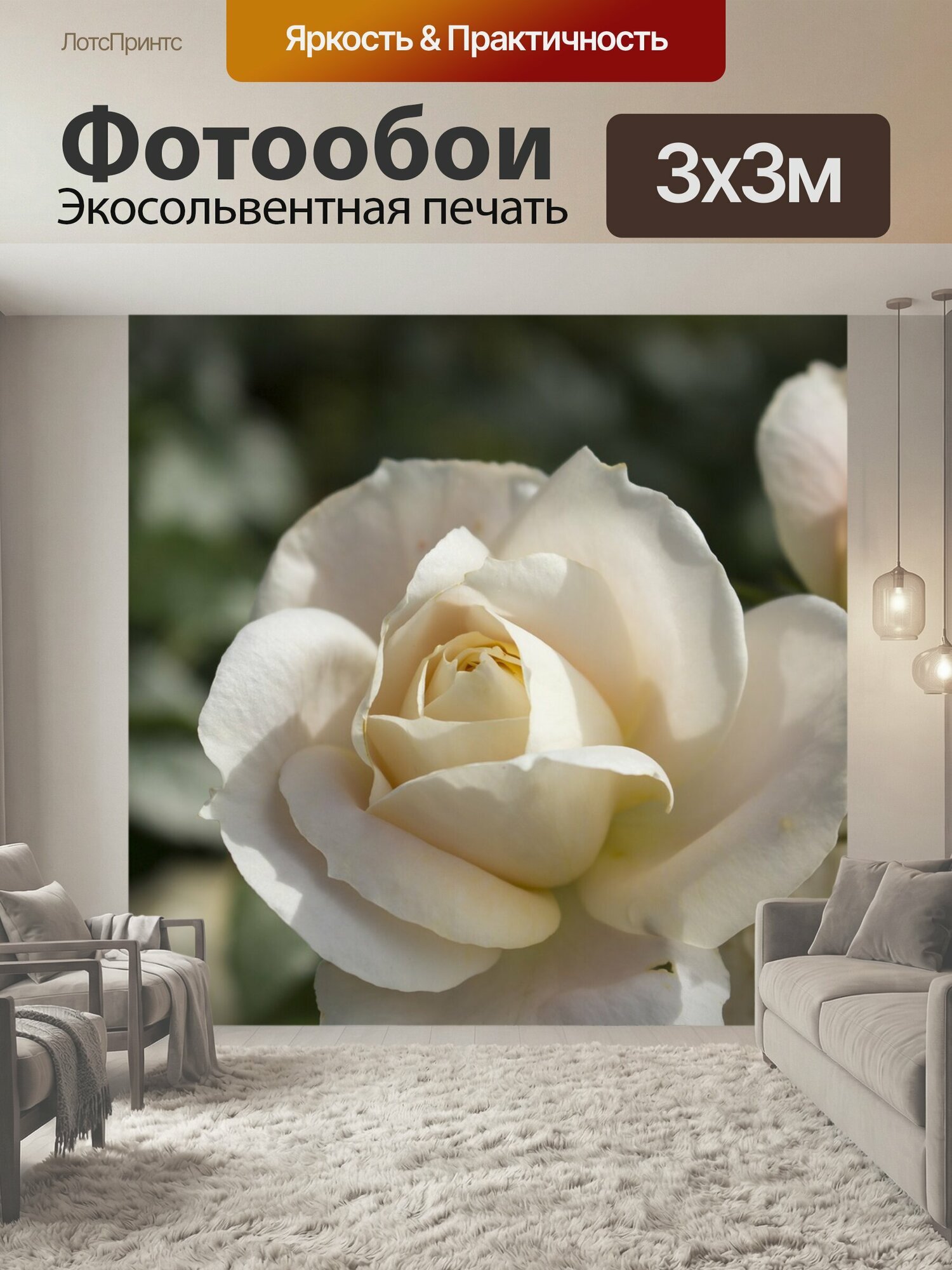 Фотообои "Роза, цветок, сад" 300x300 см. экосольвентная печать
